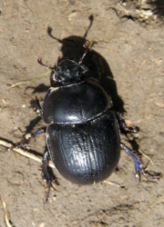 Top 5 Christ Figures in Fiction - Geeks Under Grace