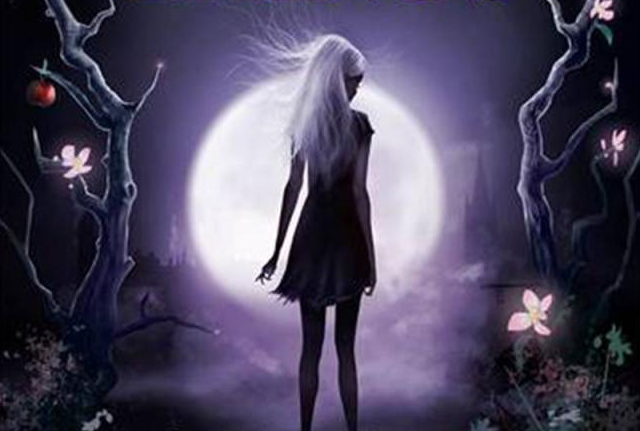 Review: The Slow Regard of Silent Things - Geeks Under Grace