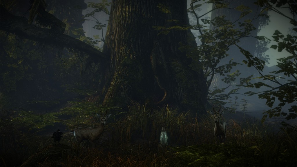 Review: The Witcher 2: Assassins of Kings (PC) - Geeks Under Grace