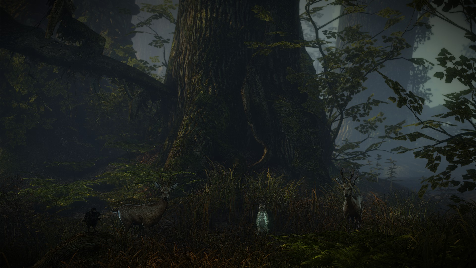 Review: The Witcher 2: Assassins of Kings (PC) - Geeks Under Grace