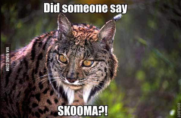 A New Way to Play Skyrim