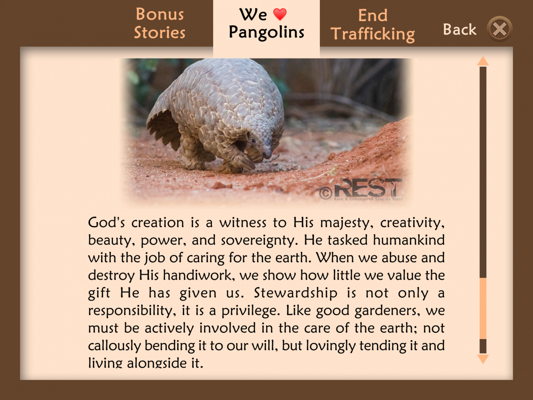 Celebrate World Pangolin Day! on February 16, 2019 with Pangolin's ...