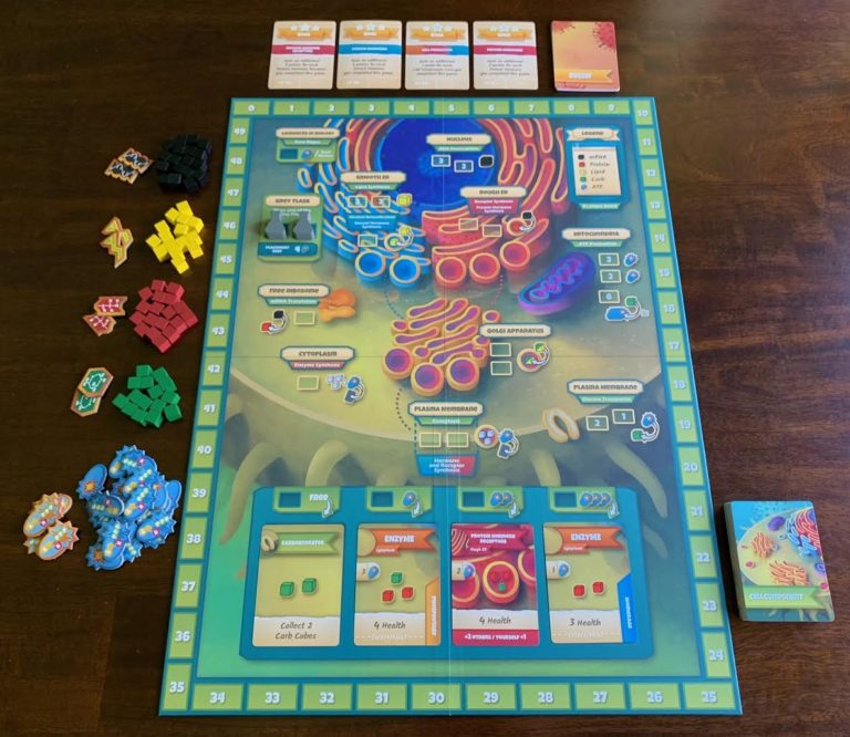Review – Cytosis: A Cell Biology Board Game - Geeks Under Grace