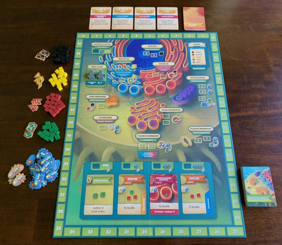 Review – Cytosis: A Cell Biology Board Game - Geeks Under Grace