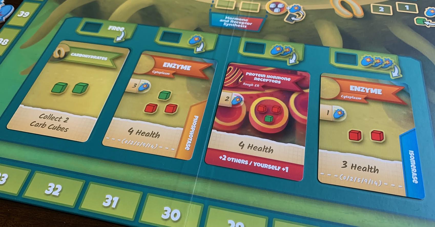 Review – Cytosis: A Cell Biology Board Game - Geeks Under Grace