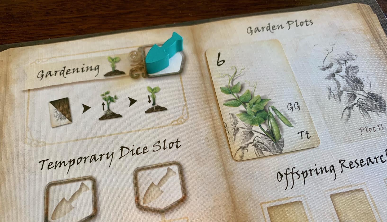 Review – Genotype: A Mendelian Genetics Game - Geeks Under Grace