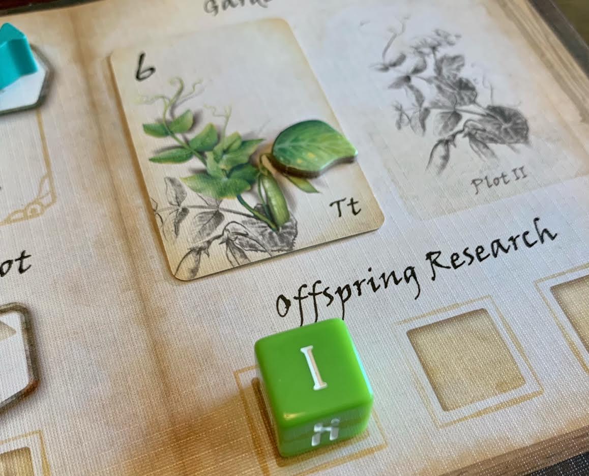 Review – Genotype: A Mendelian Genetics Game - Geeks Under Grace