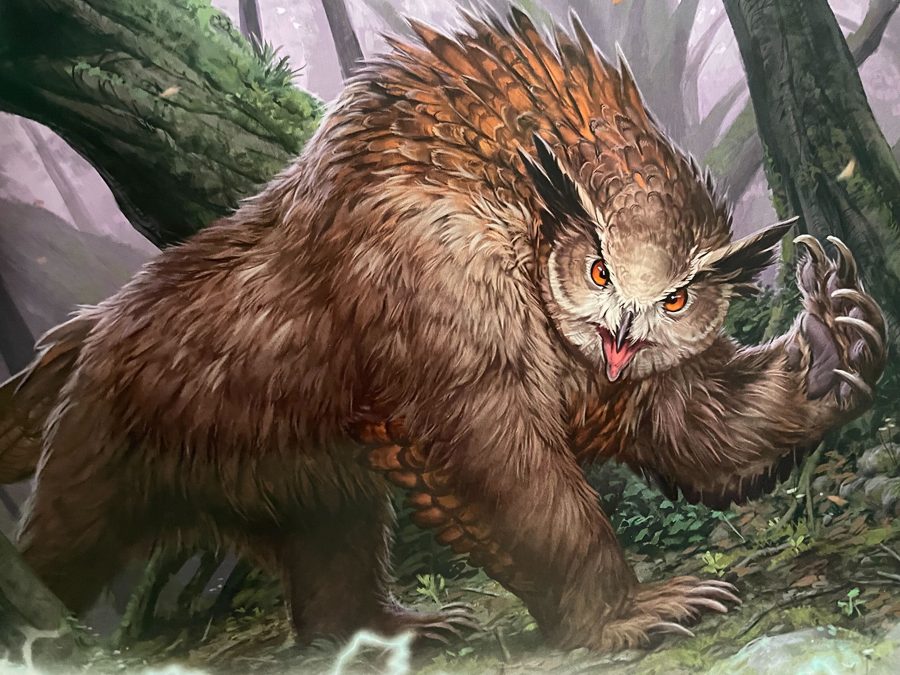 Review — D&D Starter Set: Dragons of Stormwreck Isle - Geeks Under Grace