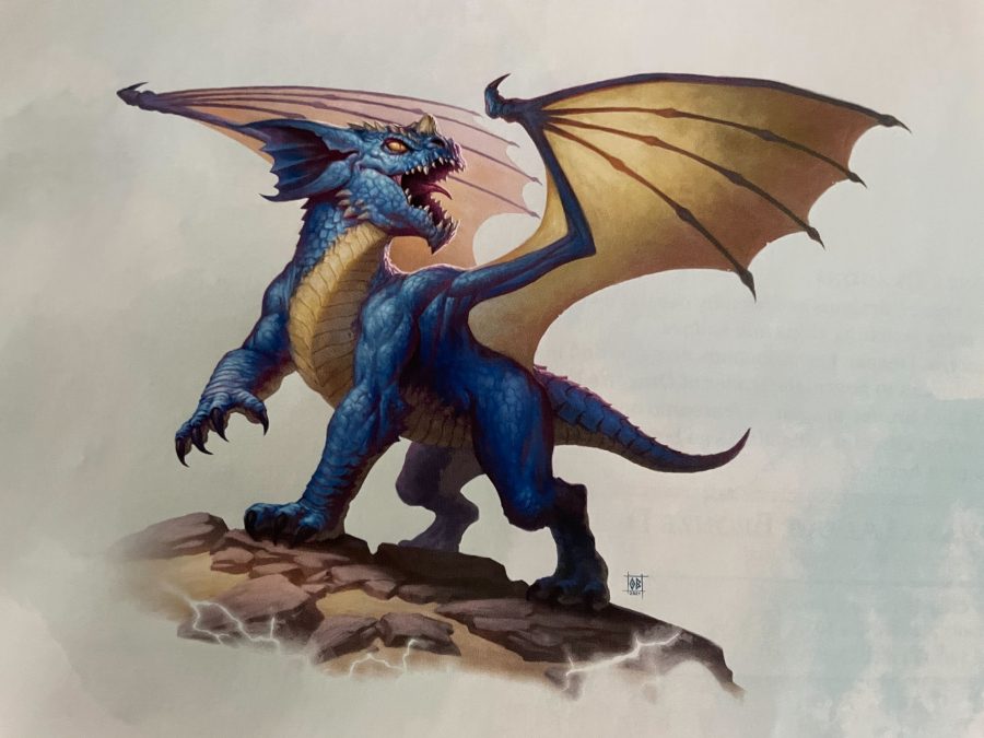 Review — D&D Starter Set: Dragons of Stormwreck Isle - Geeks Under Grace