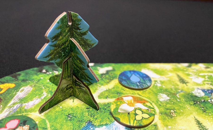 Review – Canopy: Evergreen - Geeks Under Grace