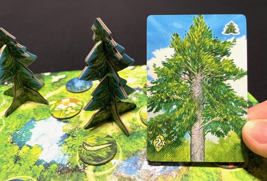 Review – Canopy: Evergreen - Geeks Under Grace