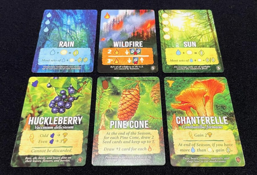 Review – Canopy: Evergreen - Geeks Under Grace