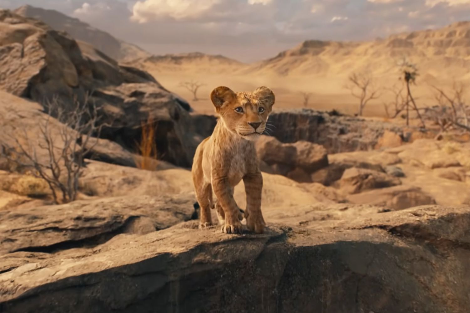 Review – Mufasa: The Lion King - Geeks Under Grace