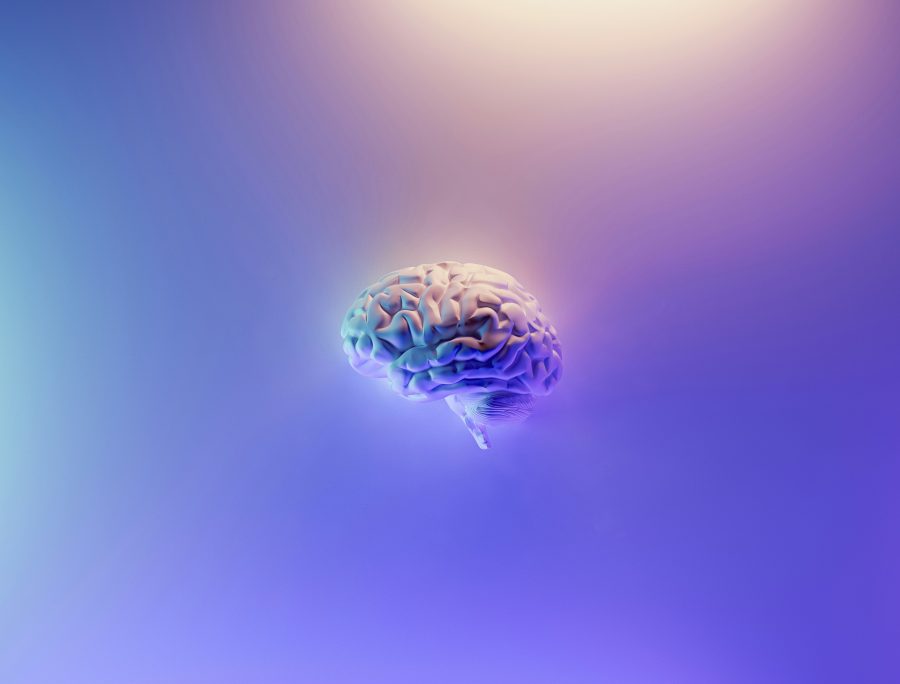 The Brain in the Bible - Geeks Under Grace