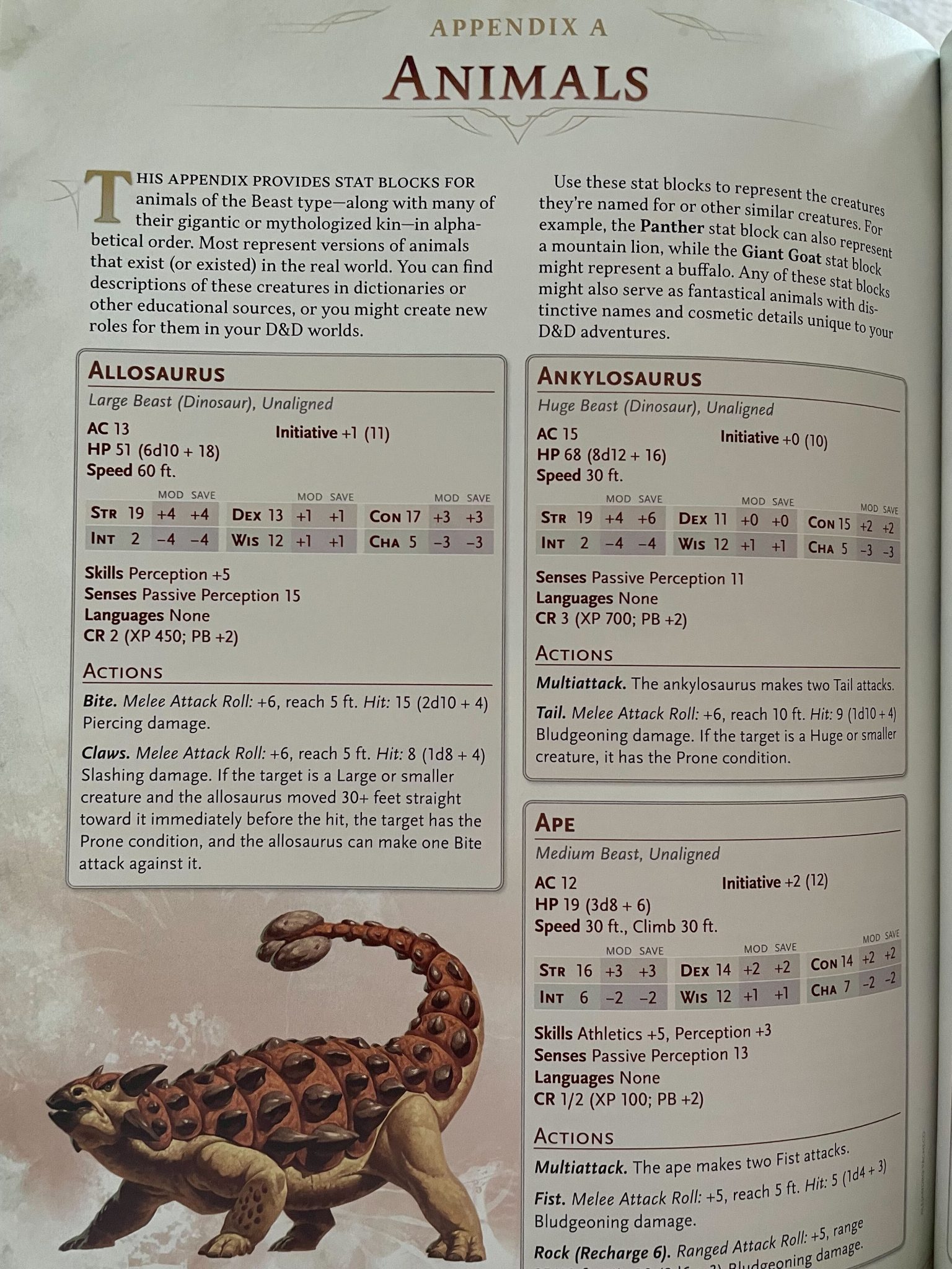 Review – D&D Monster Manual (2025) - Geeks Under Grace